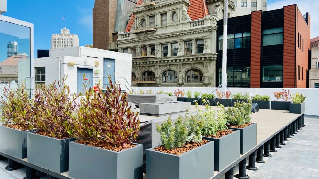 How to Add Color to Your Landscaping Before Spring