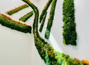 Moss Art Designs: What Works Indoors vs Outdoors - The Wright Gardner