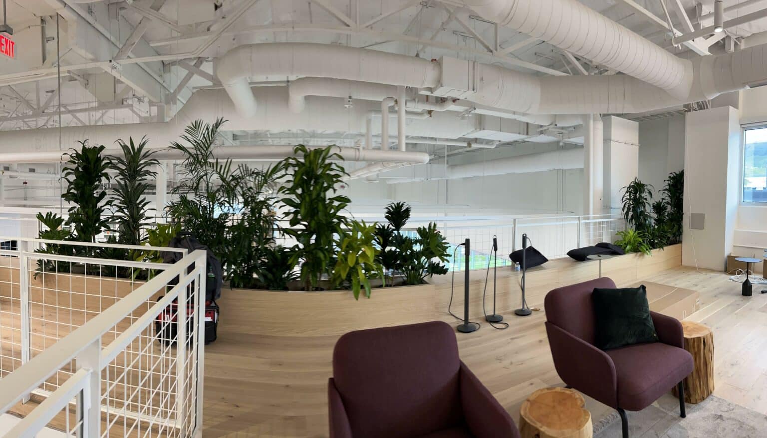 The Science Behind Why Plants Boost Employee Productivity - The Wright ...