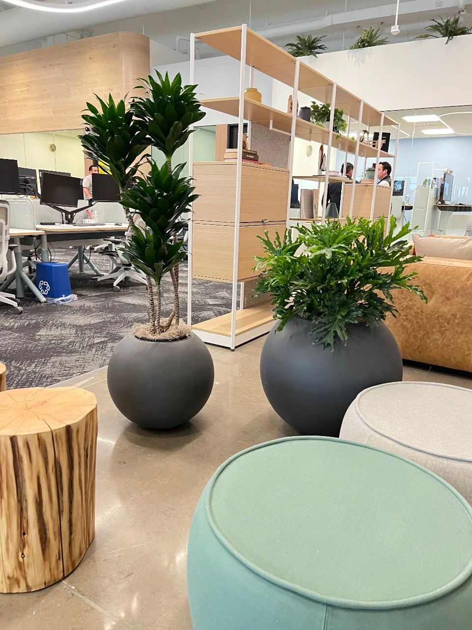 Office Plant Service